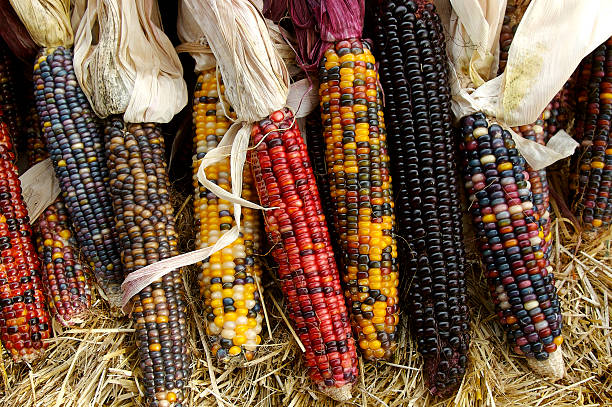 It’s Popcorn Day! Celebrating Our Favourite Banged Grain - Fabulous Foodie